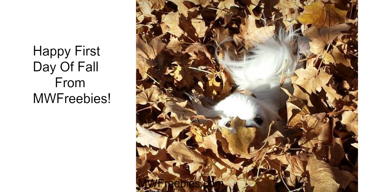 Happy First Day Of Fall From MWFreebies! - MWFreebies