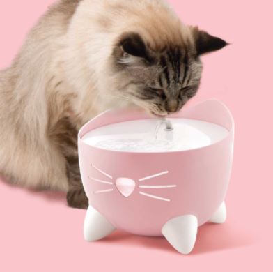 FREE PIXI Drinking Fountain For Your Cat If Chosen! (must apply ...